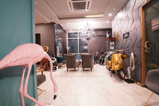 Estheticare - Wikitia